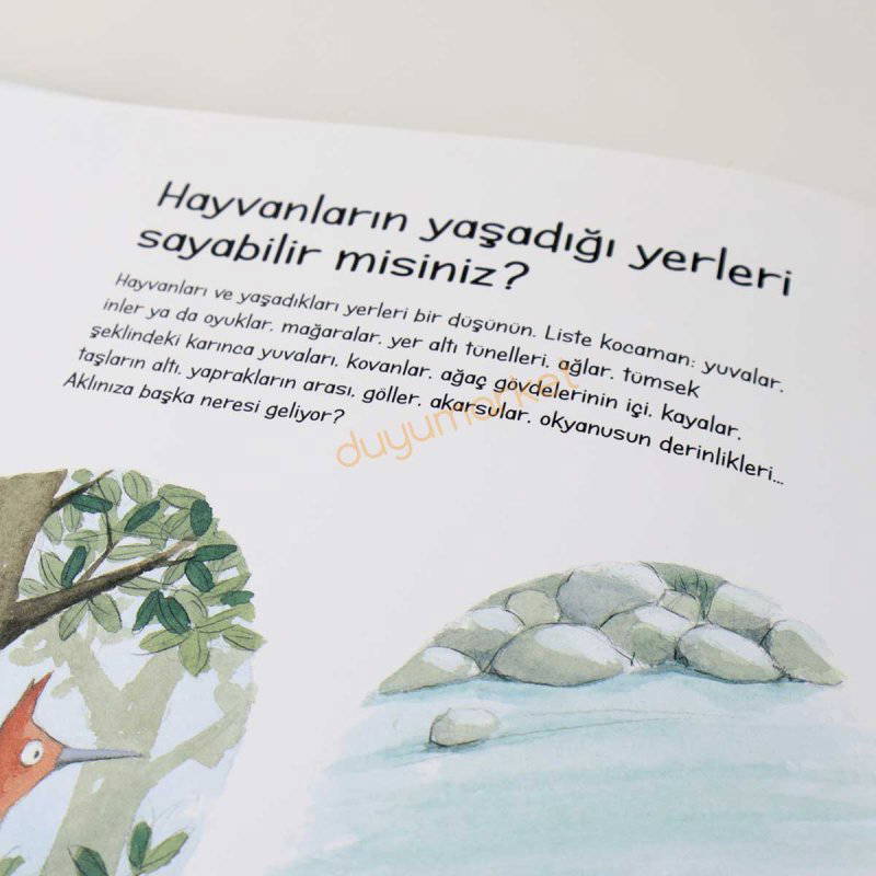 Hayvanlar Nerede Yaşar? - Bilim Ve Merak Fiyatı, Yorumları - duyumarket Hayvanlar Nerede Yaşar? - Bilim Ve Merak Fiyatı, Yorumları - duyumarket